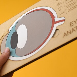 Eye Anatomy Wood Puzzle, Optometry Gift, Optometrist, Eye Doctor, Eye ...