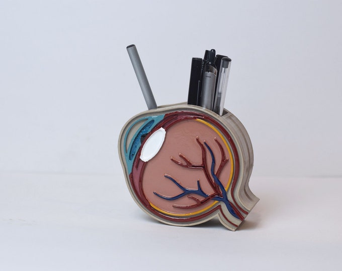 Anatomical Eye Pen Holder Optometry Gift Optometrist Eye - Etsy