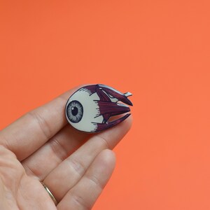 Eye Anatomy Pin, Brooch, Optometry Gift, Optometrist, Eye Dr Gift, Eye ...