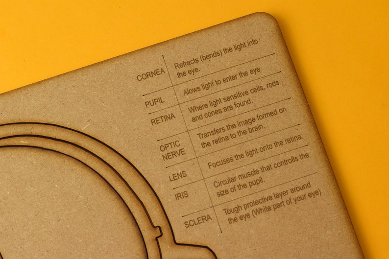 Eye Anatomy Wood Puzzle, Optometry Gift, Optometrist, Eye Doctor, Eye ...