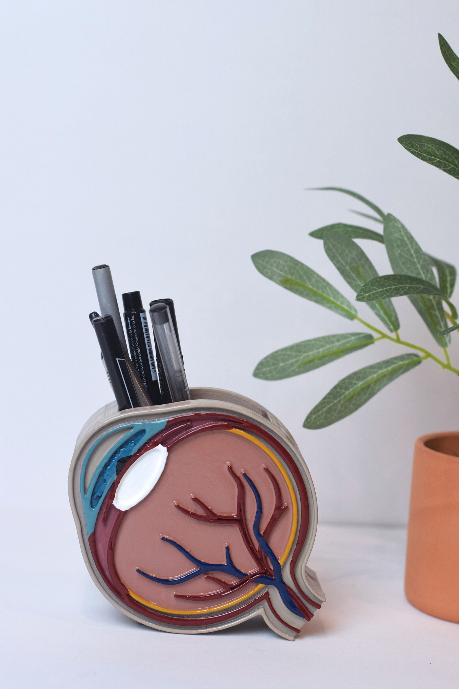 Anatomical Eye Pen Holder Optometry Gift Optometrist Eye - Etsy