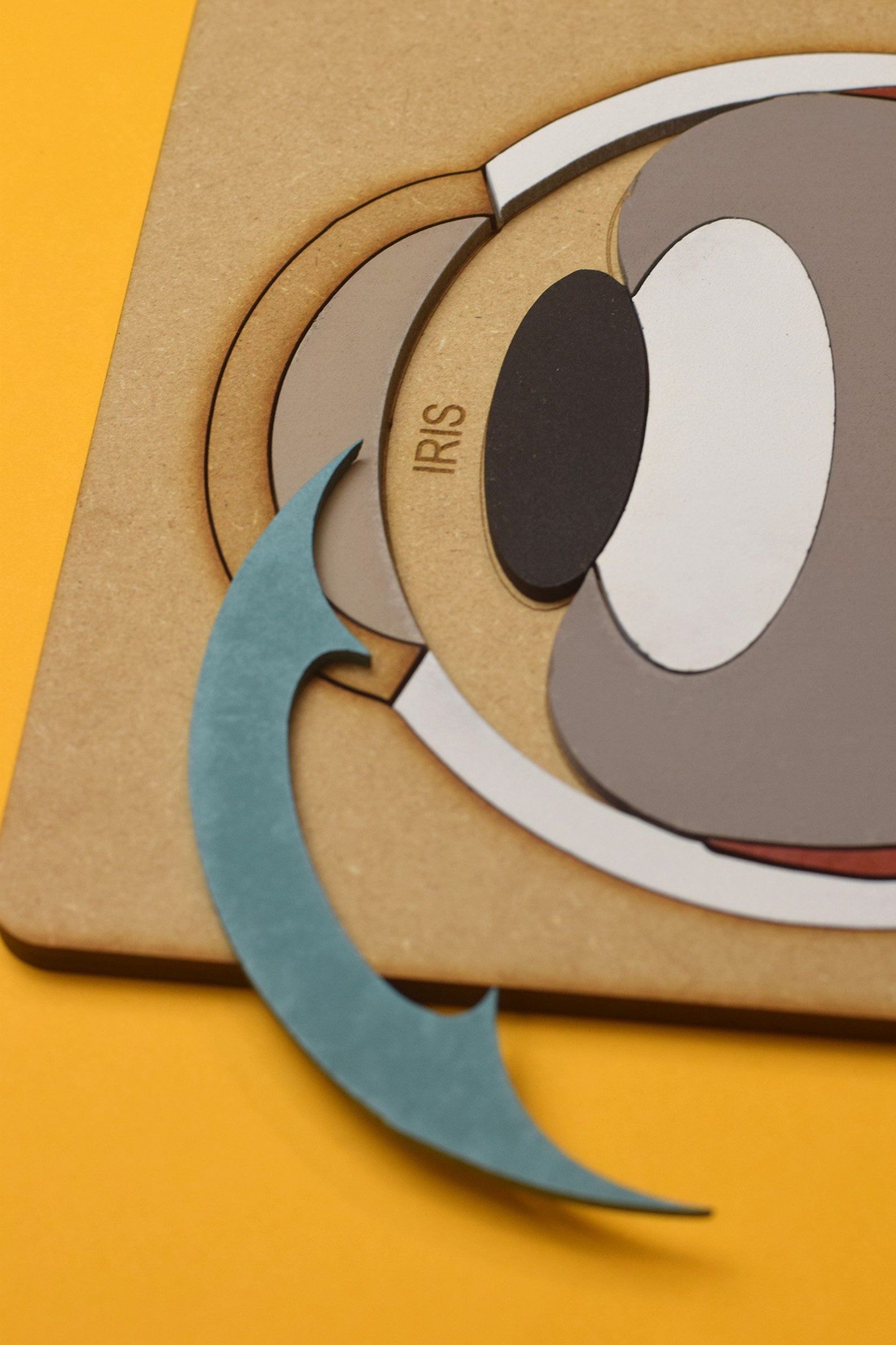 Eye Anatomy Wood Puzzle, Optometry Gift, Optometrist, Eye Doctor, Eye ...