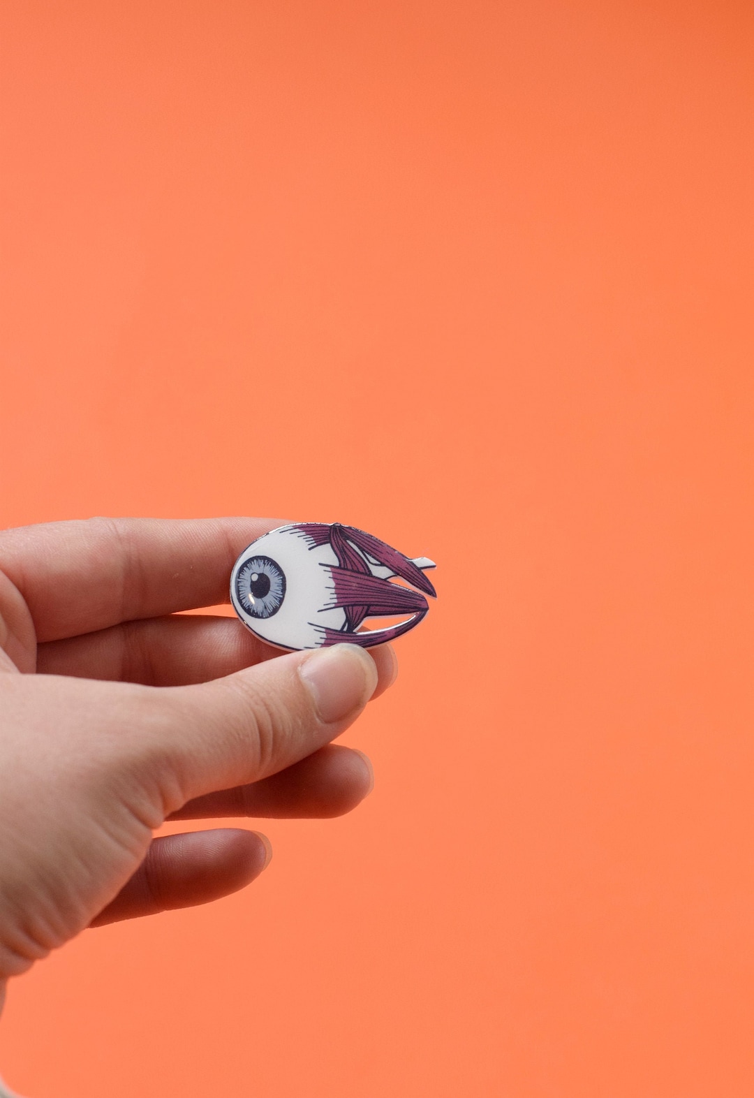 Eye Anatomy Pin, Brooch, Optometry Gift, Optometrist, Eye Dr Gift, Eye ...