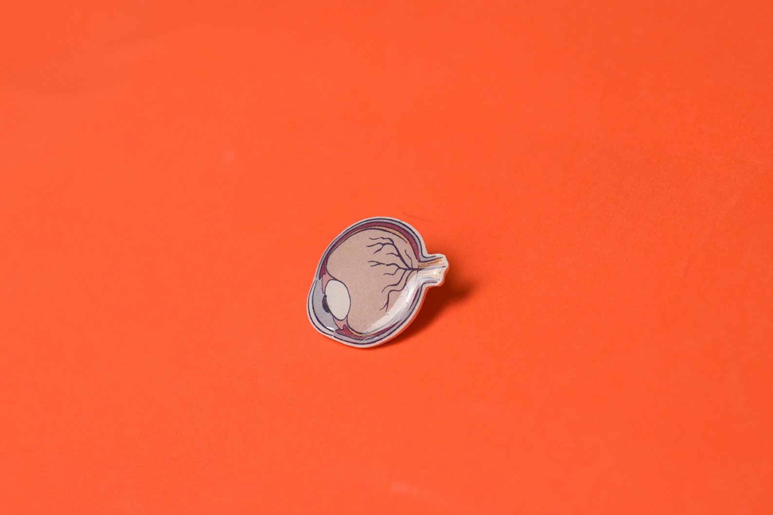 Eye Anatomy Pin, Eye Brooch, Optometry Gift, Optometrist, Eye Dr Gift ...