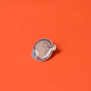 Eye Anatomy Pin, Eye Brooch, Optometry Gift, Optometrist, Eye Dr Gift ...