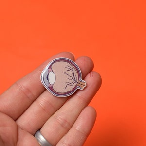 Eye Anatomy Pin, Eye Brooch, Optometry Gift, Optometrist, Eye Dr Gift ...
