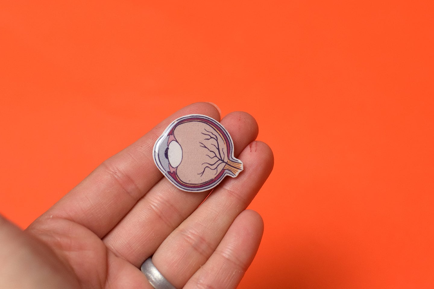 Eye Anatomy Pin Eye Brooch Optometry Gift Optometrist Eye - Etsy