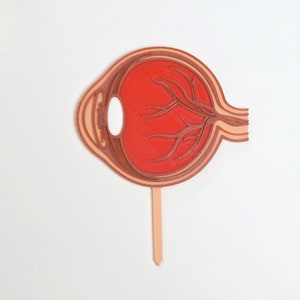 Eye Anatomy Cake Topper Optometry Gift Optometrist Eye Doctor Topper ...