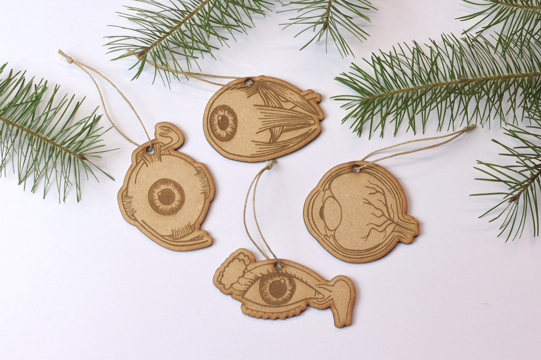 Eye Anatomy Christmas Ornament Set of 4, Optometry Ornament ...