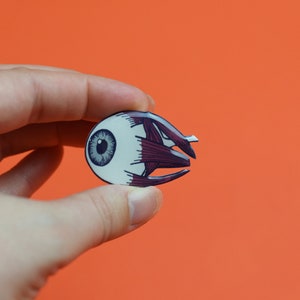 Eye Anatomy Pin, Brooch, Optometry Gift, Optometrist, Eye Dr Gift, Eye ...
