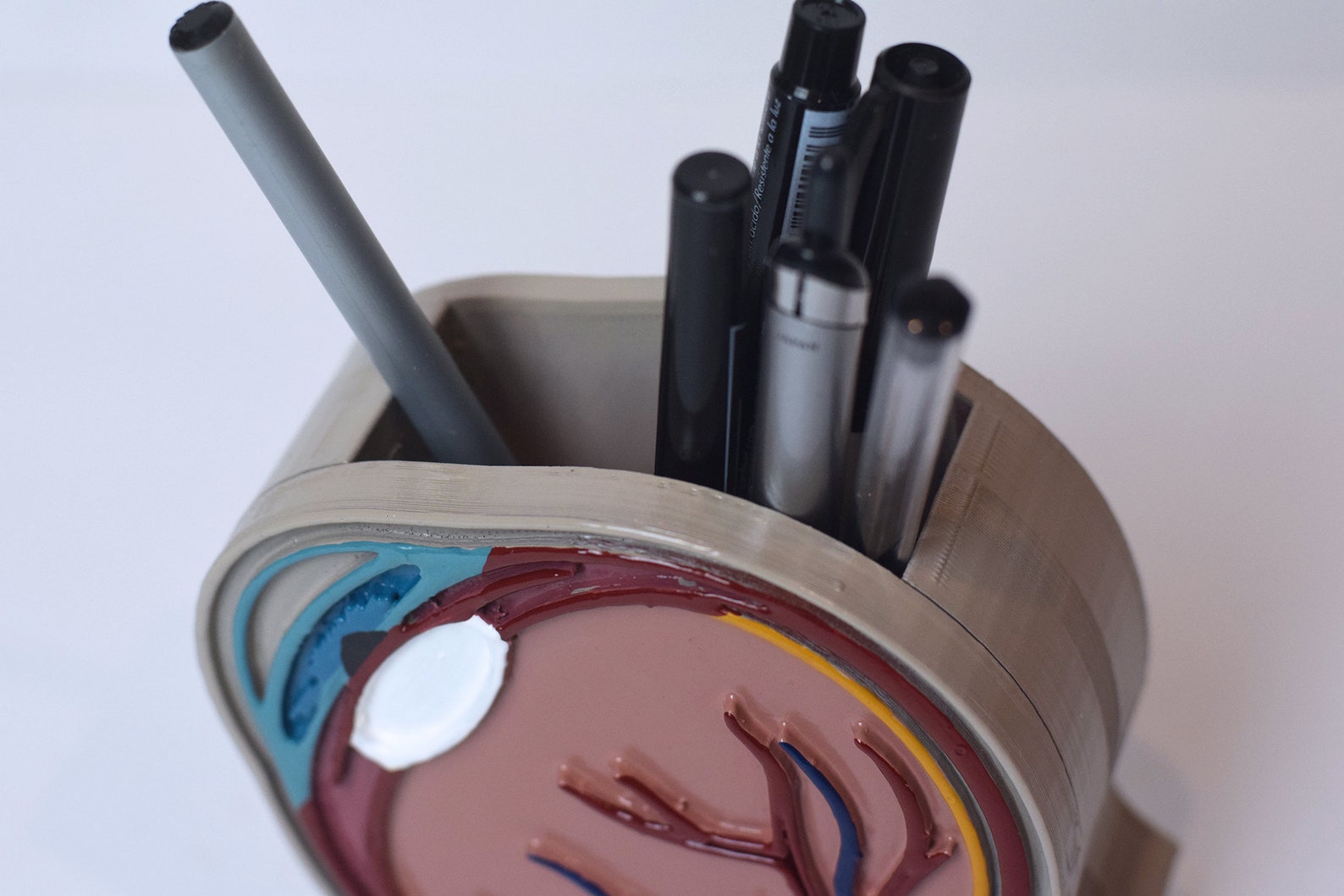 Anatomical Eye Pen Holder Optometry Gift Optometrist Eye - Etsy