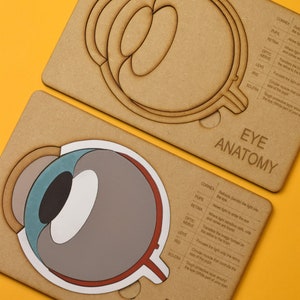 Eye Anatomy Wood Puzzle, Optometry Gift, Optometrist, Eye Doctor, Eye ...