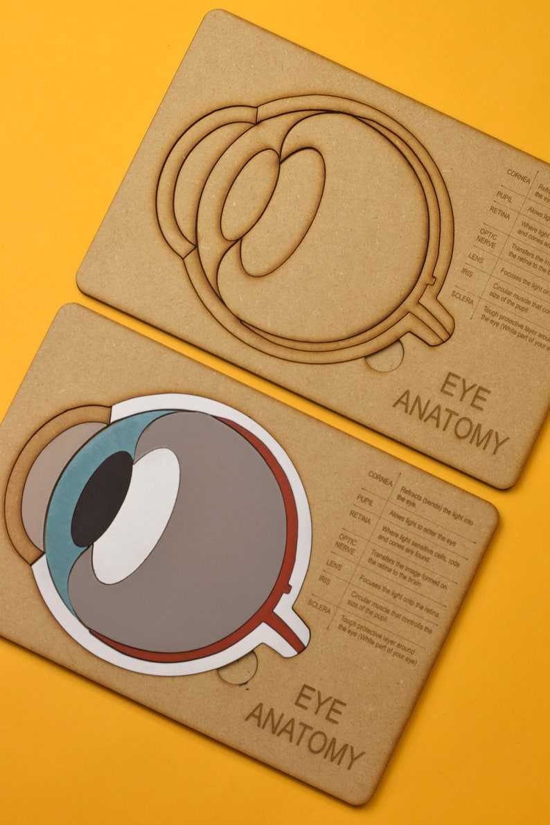 Eye Anatomy Wood Puzzle, Optometry Gift, Optometrist, Eye Doctor, Eye ...