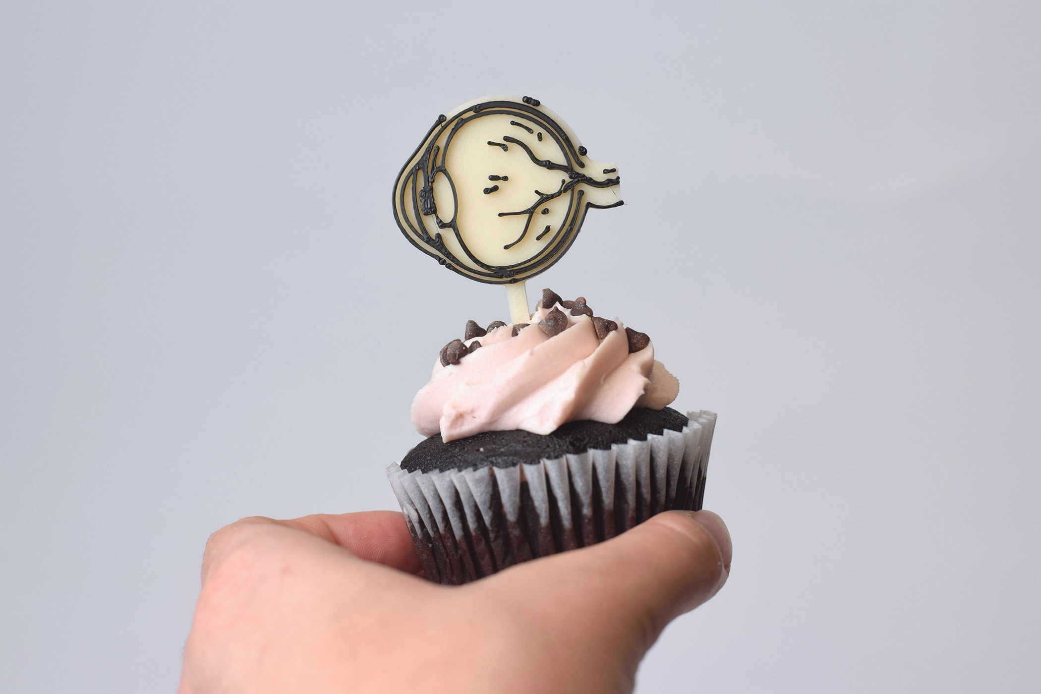 Eye Anatomy Cupcake Toppers Optometry Gift Optometrist Eye | Etsy