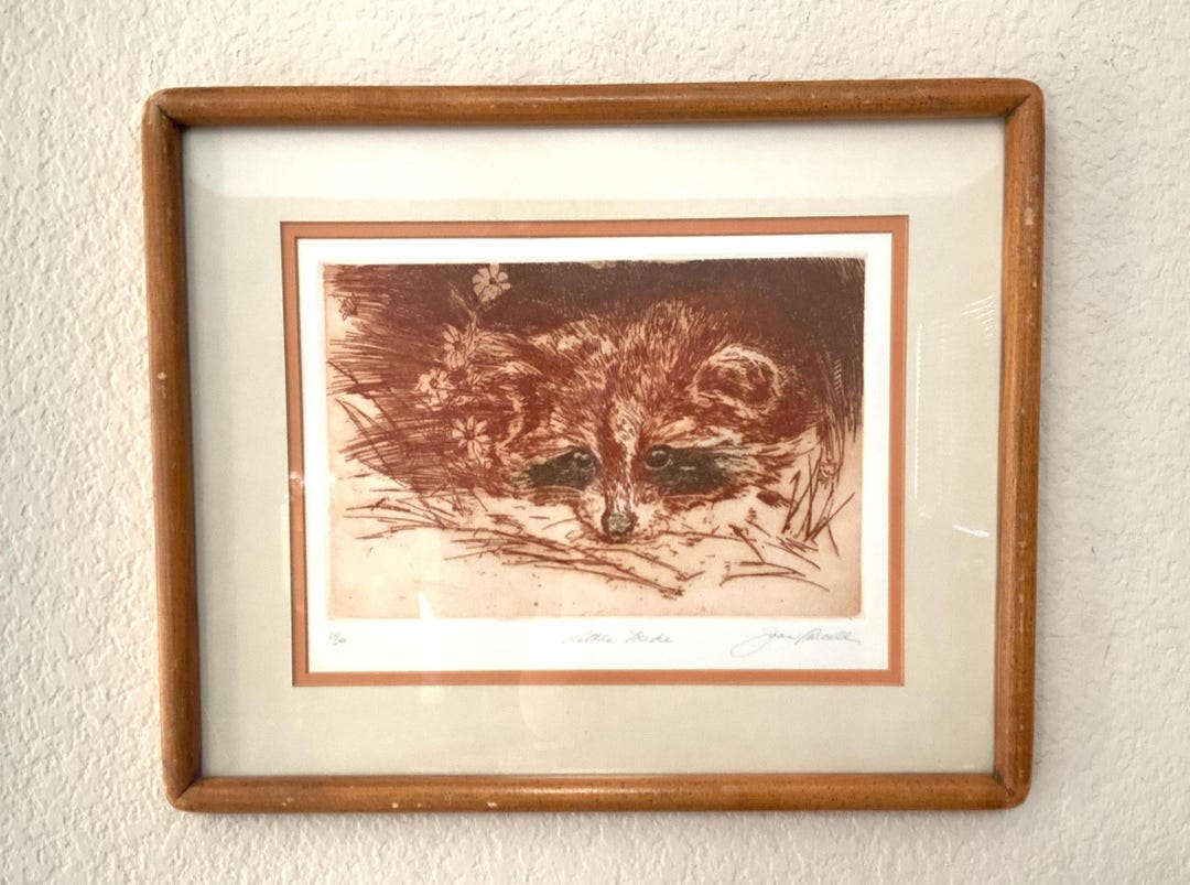 Joan Purcell Raccoon Etching: Signed & Numbered Animal Portrait - Etsy