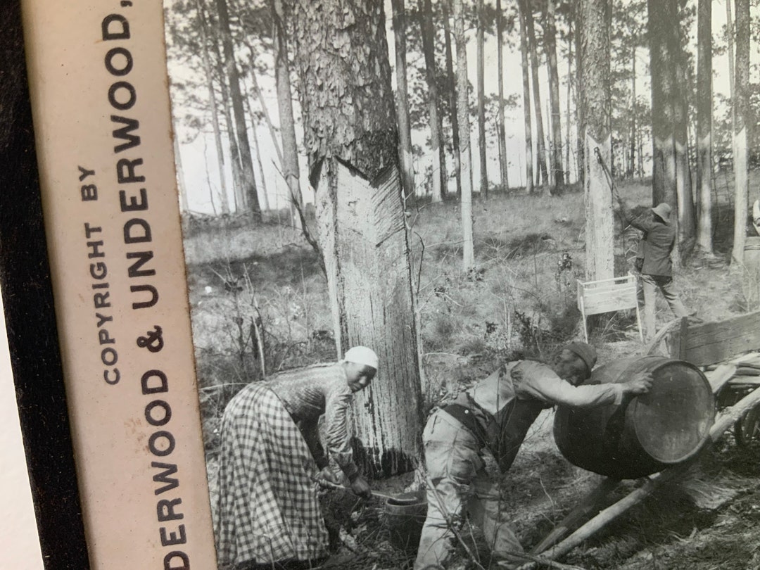 North Carolina Plantation Antique Slave Workers Glass Photograph Magic ...