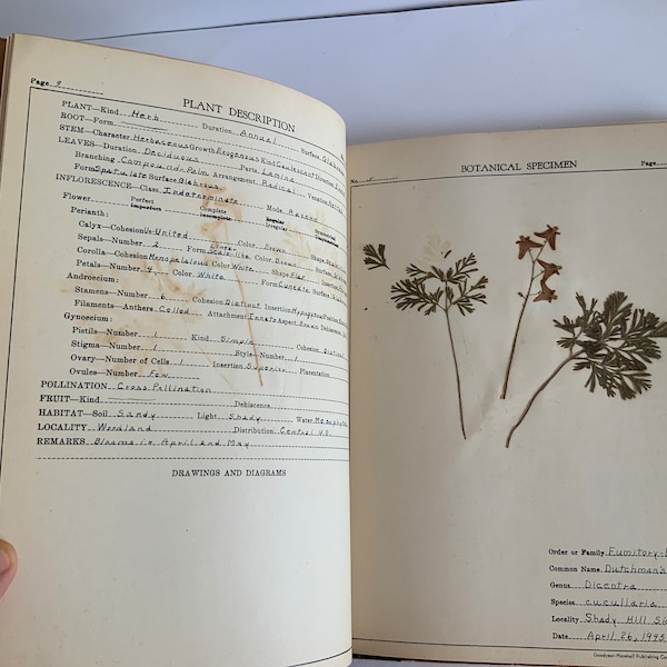 Herbarium Book - Etsy
