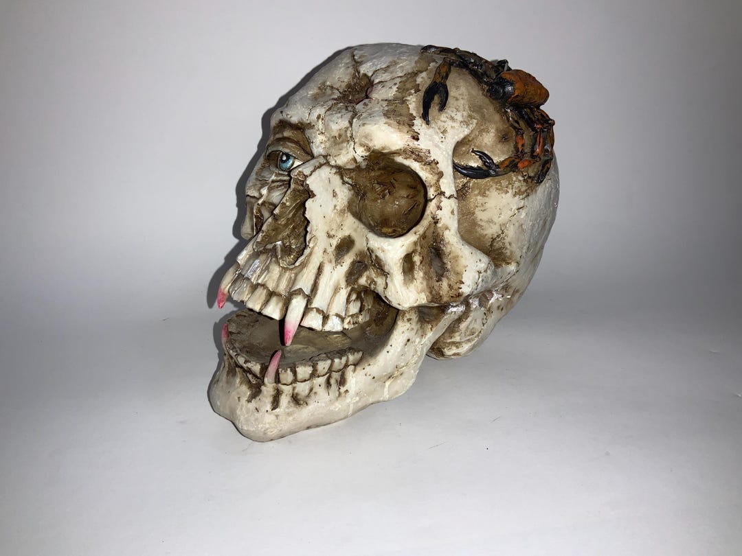 Vampire Scorpion Dracula Skull Figurine Sculpture Cast Resin High ...
