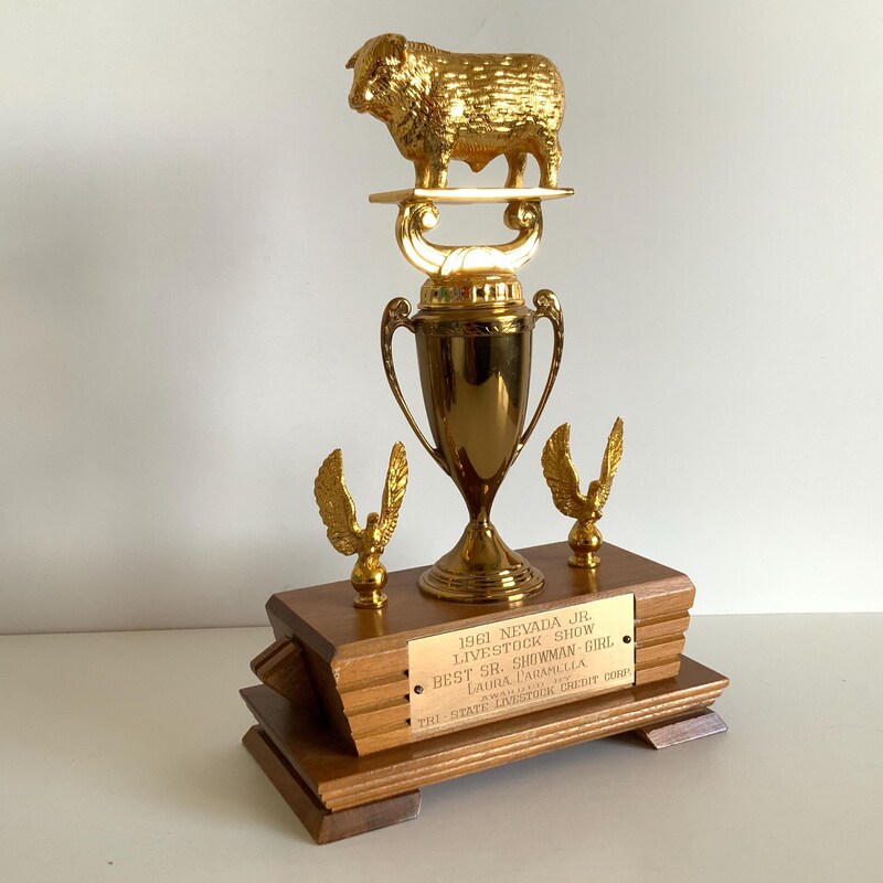 Animal Trophy - Etsy