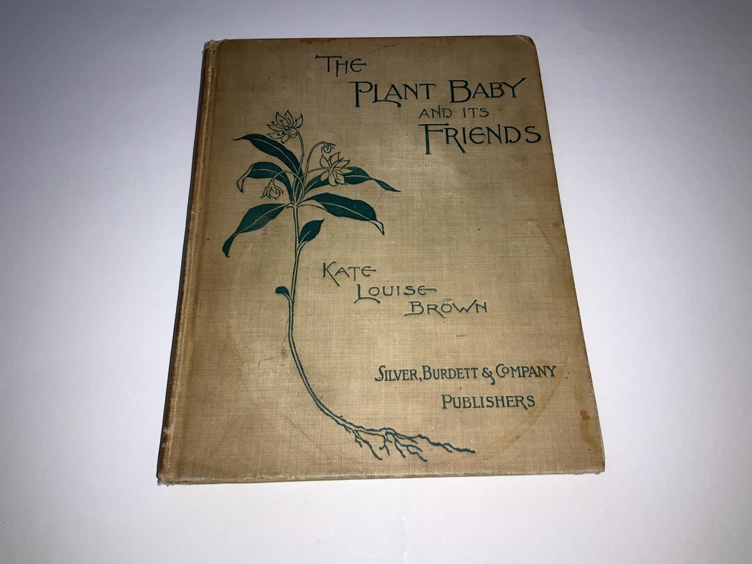 The Plant Baby and Its Friends: 1897 1st Edition Botany Book - Etsy