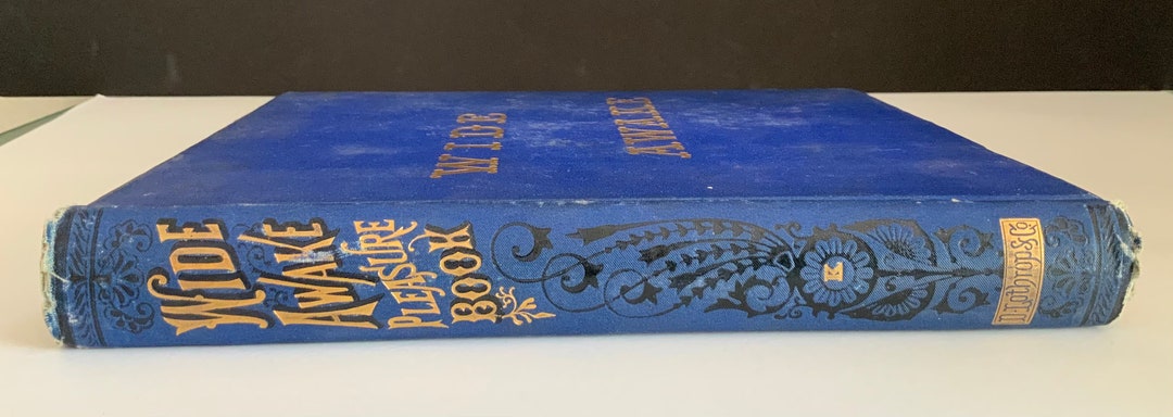 1880 Antique Children’s Book Wide Awake Pleasure Book Great Condition ...