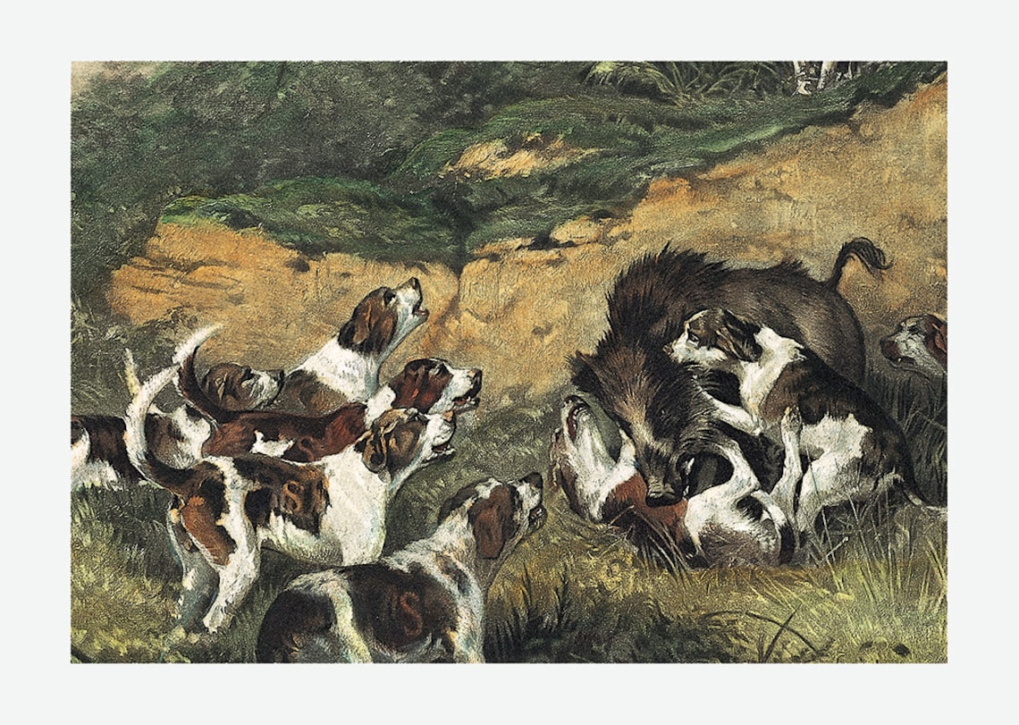 Hog & Rabbit Hunting Wall Art Old English Hare Hunt Prints - Etsy