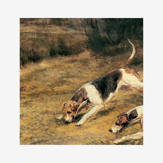 Papel De Parede De Cachorro De Caca Para Computador