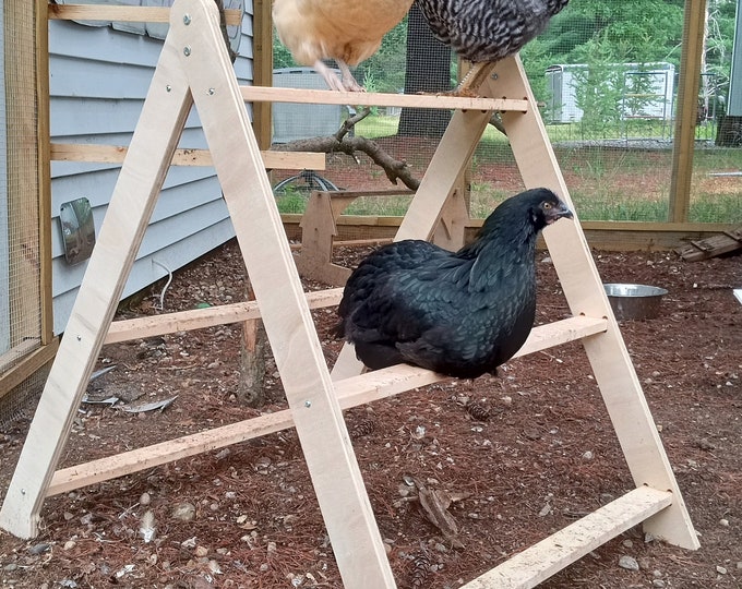 Chicken Perch Ladder & Roosting Bar - Extra Large - Sturdy Chicken Toy ...