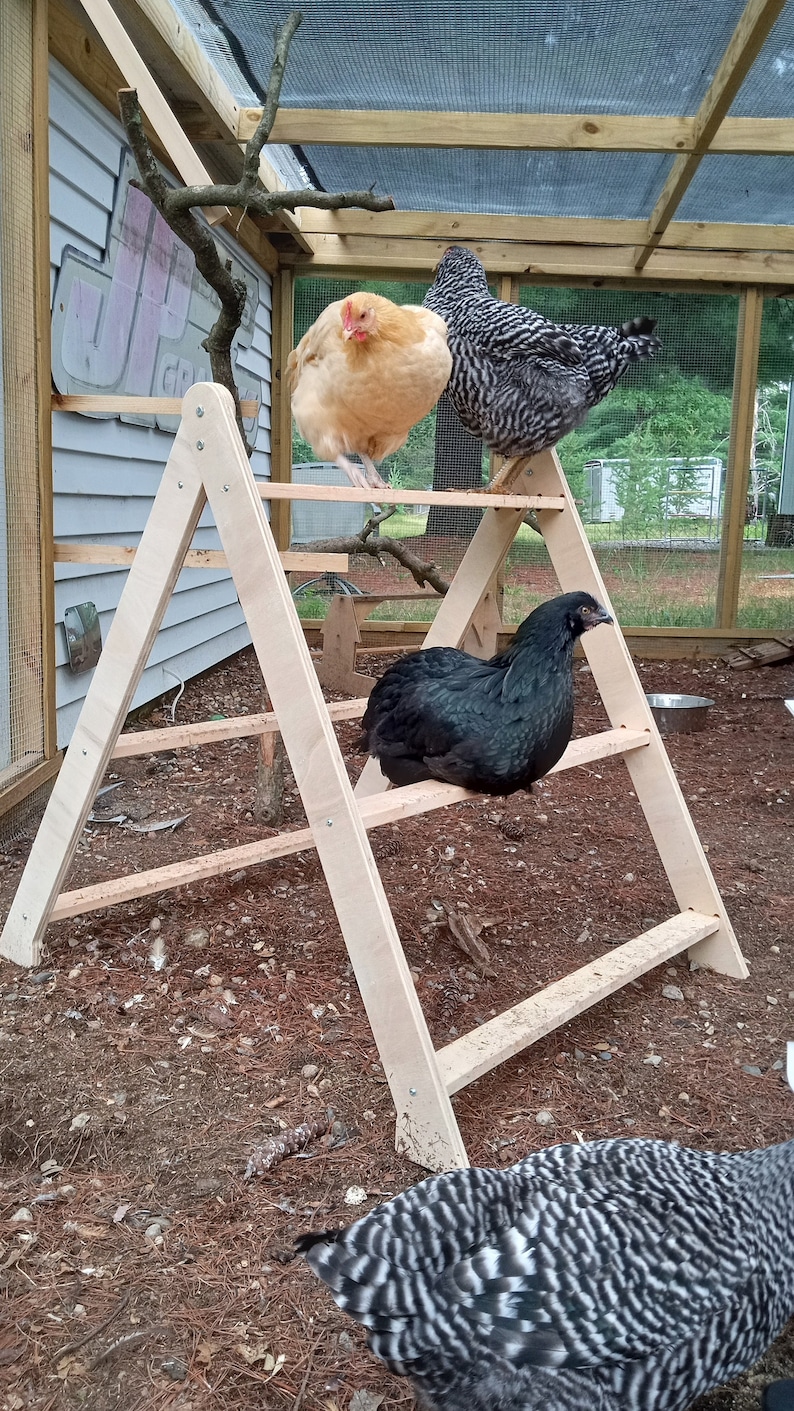 Chicken Roost - Etsy