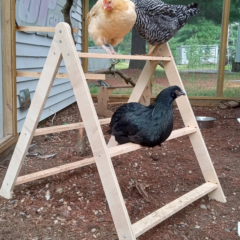 Chicken Coop With Perch - Etsy