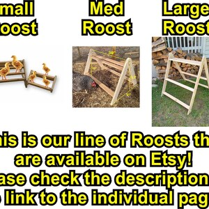 Chicken Roost, Medium Size - Etsy