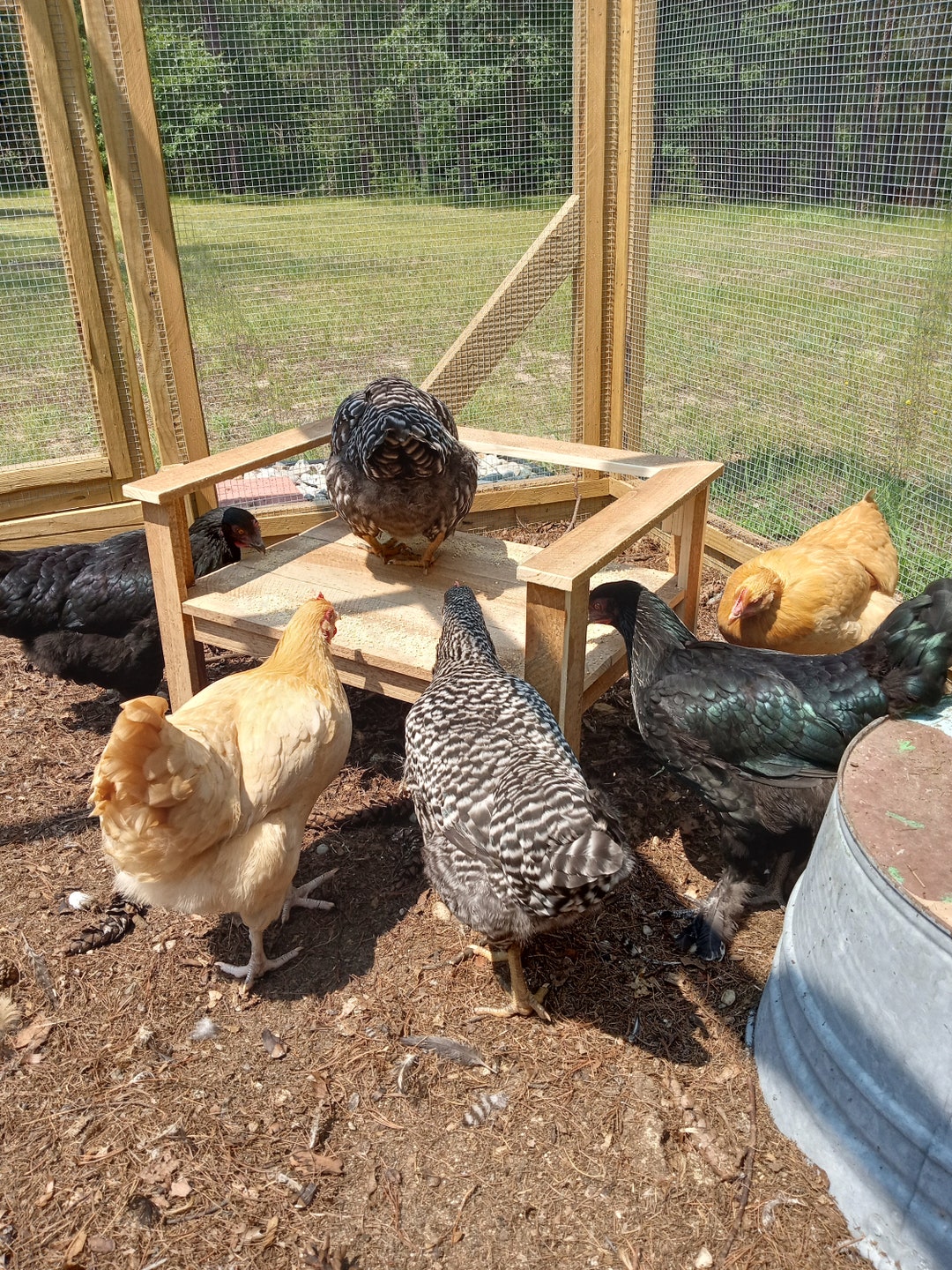 Chicken Bench - Etsy