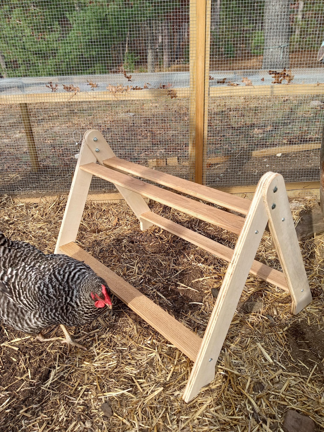 Chicken Roost, Medium Size - Etsy