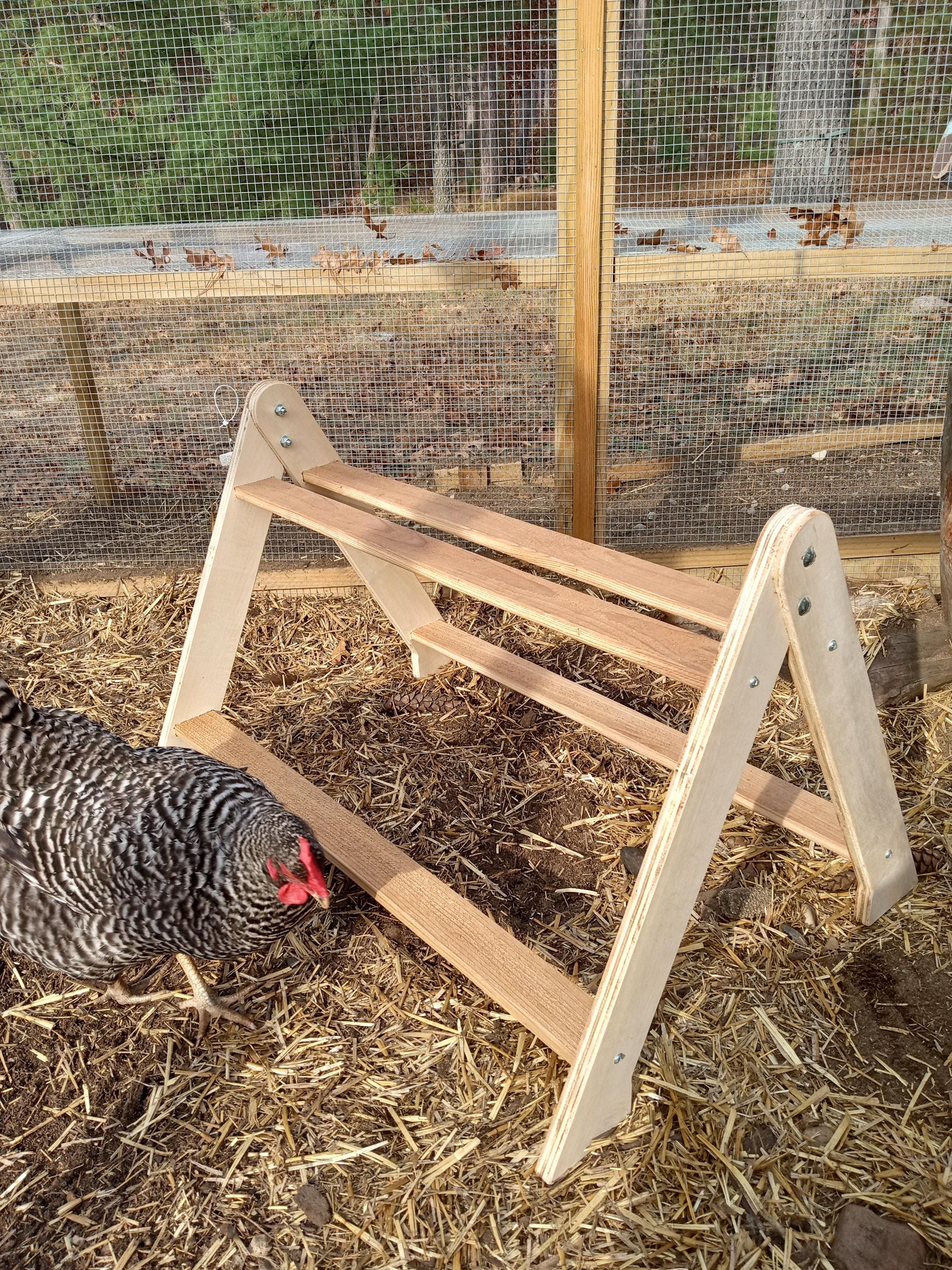 Chicken Roost, Medium Size - Etsy