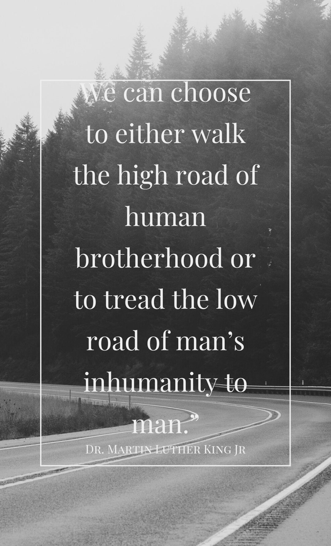 Diversity Wall Quote by Dr. Martin Luther King Jr, Diversity Quote ...