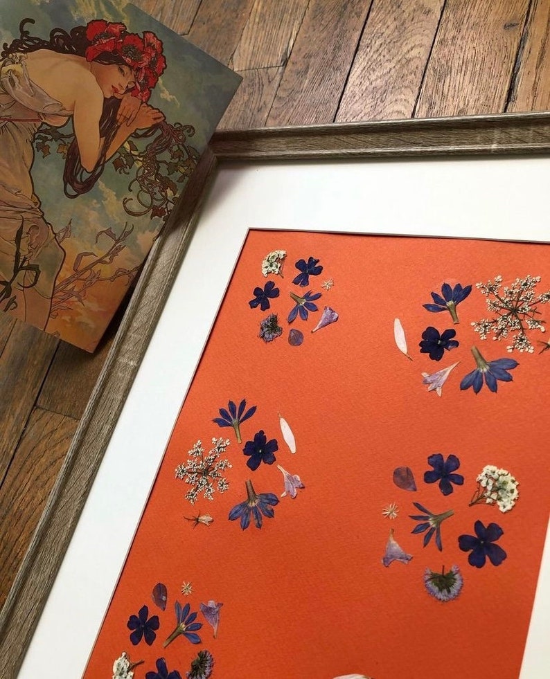 Clementine - Herbarium - Dried Flowers - Flower Frame - Etsy