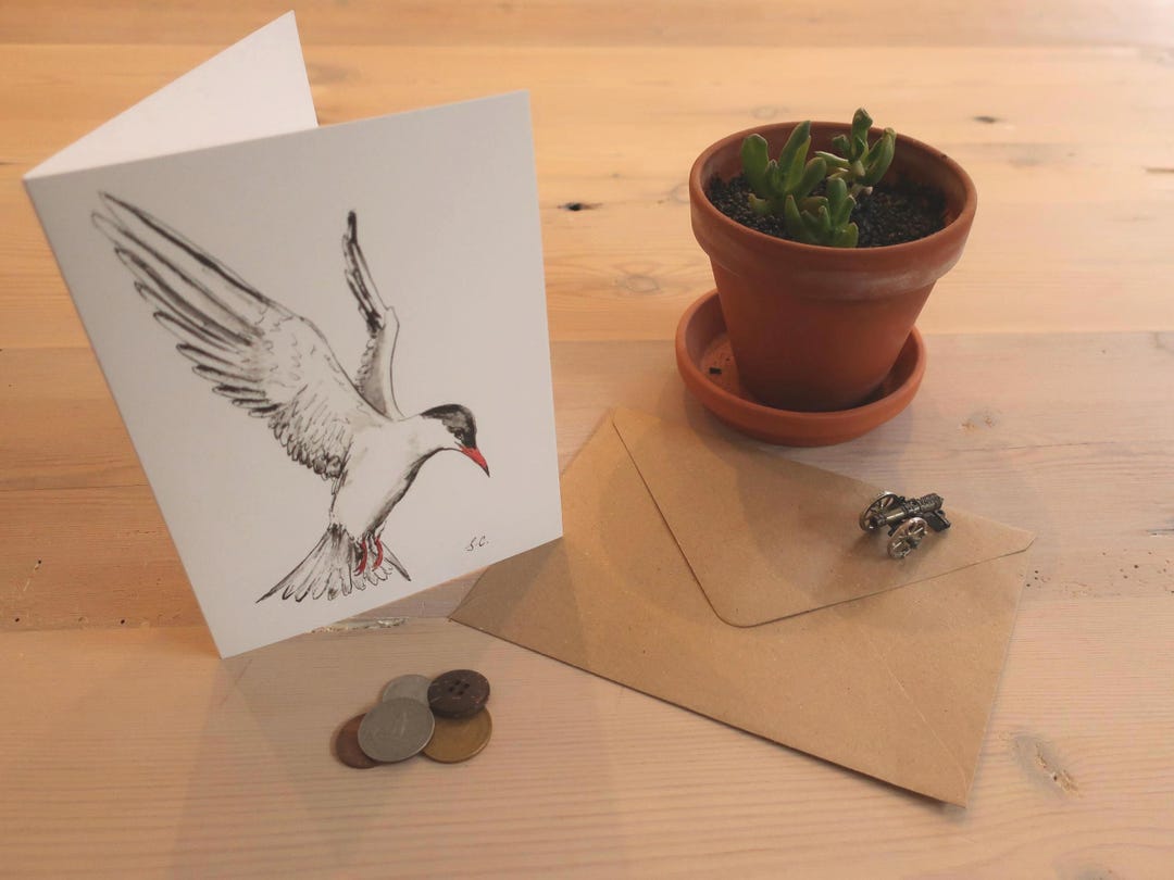 Common Tern Greeting Card - Etsy