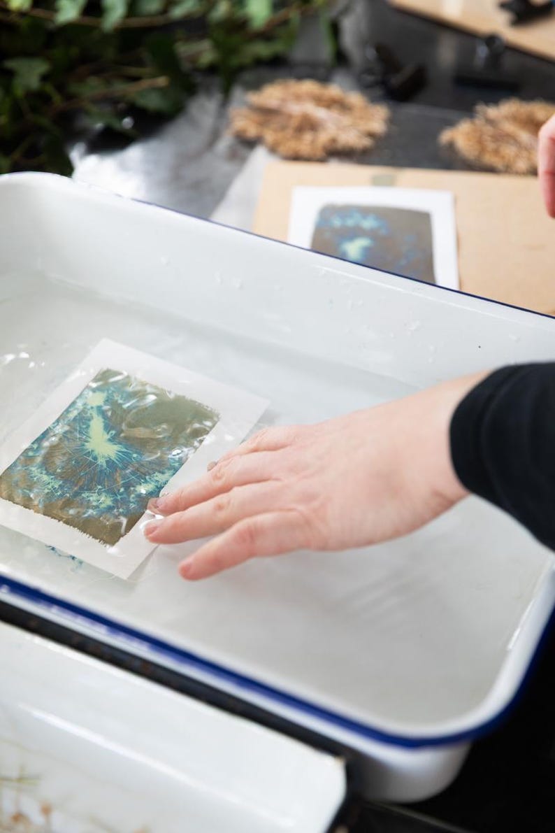 A6 Cyanotype Paper – Hand-coated Sun Print Sheets for Botanical Art ...