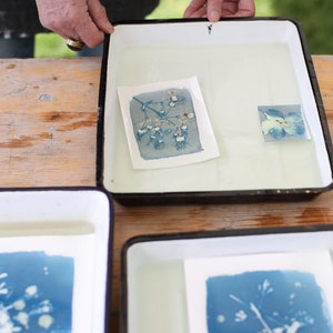 A6 Cyanotype "daylight, Solar, UV, Sun" Printing Paper - Etsy