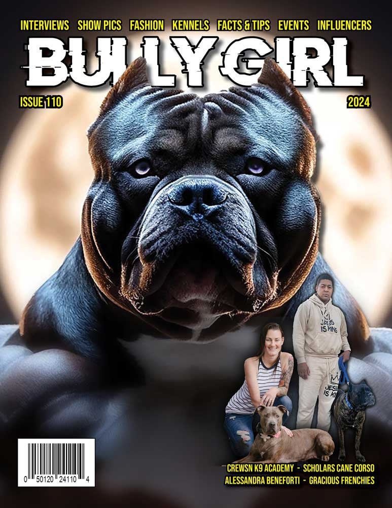 Used: Bully Girl Magazine Issue 110 - Etsy