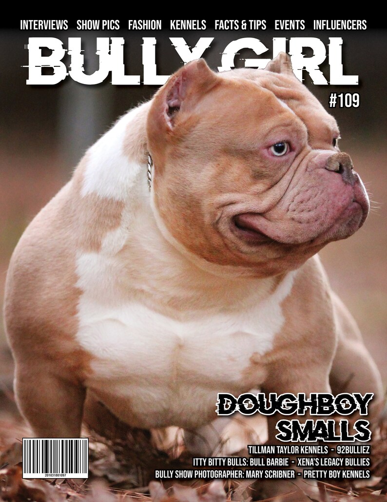 Used: Bully Girl Magazine Issue 109 - Etsy