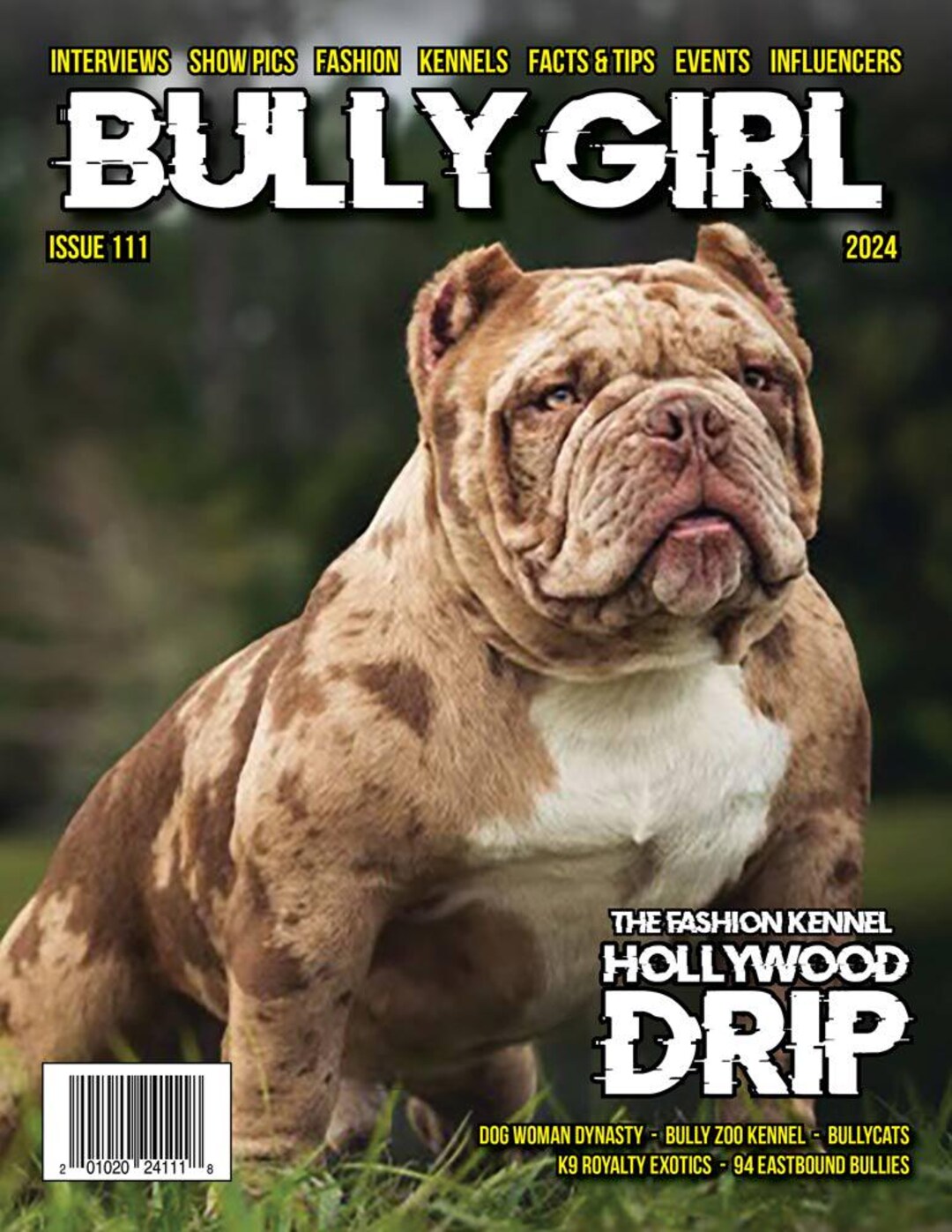 Used - Bully Girl Magazine Issue 111 - Etsy