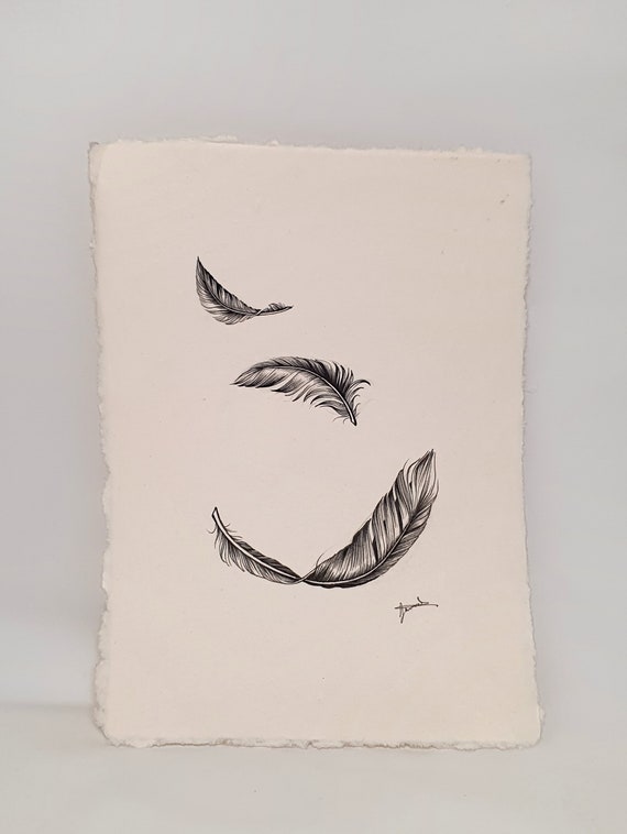 Feathers Falling Drawing