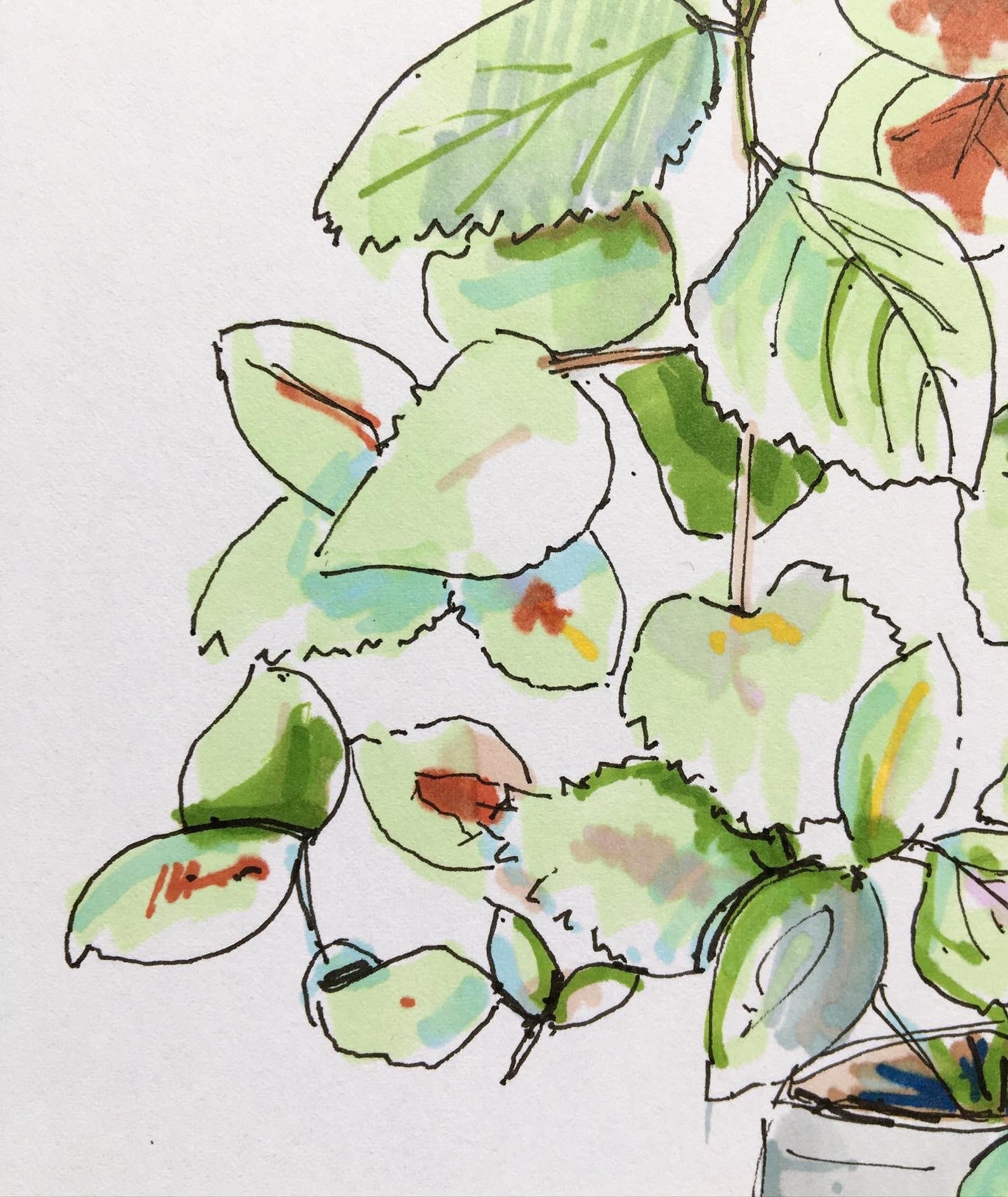 Green & Red Coleus Houseplant Original Drawing in Ink and Promarker on ...