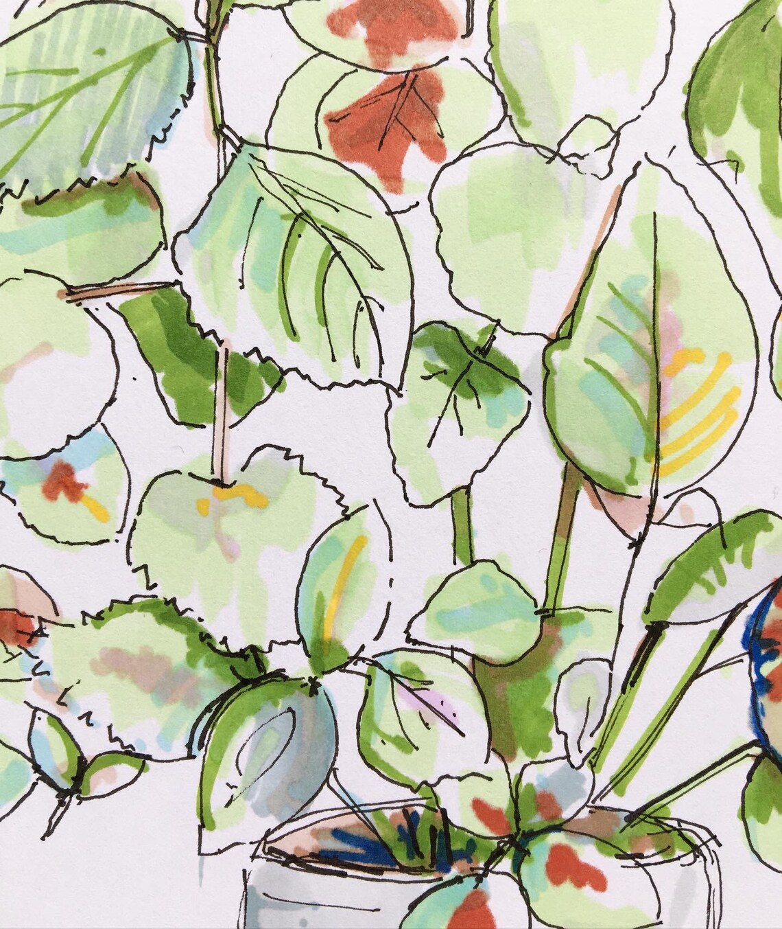 Green & Red Coleus Houseplant Original Drawing in Ink and - Etsy