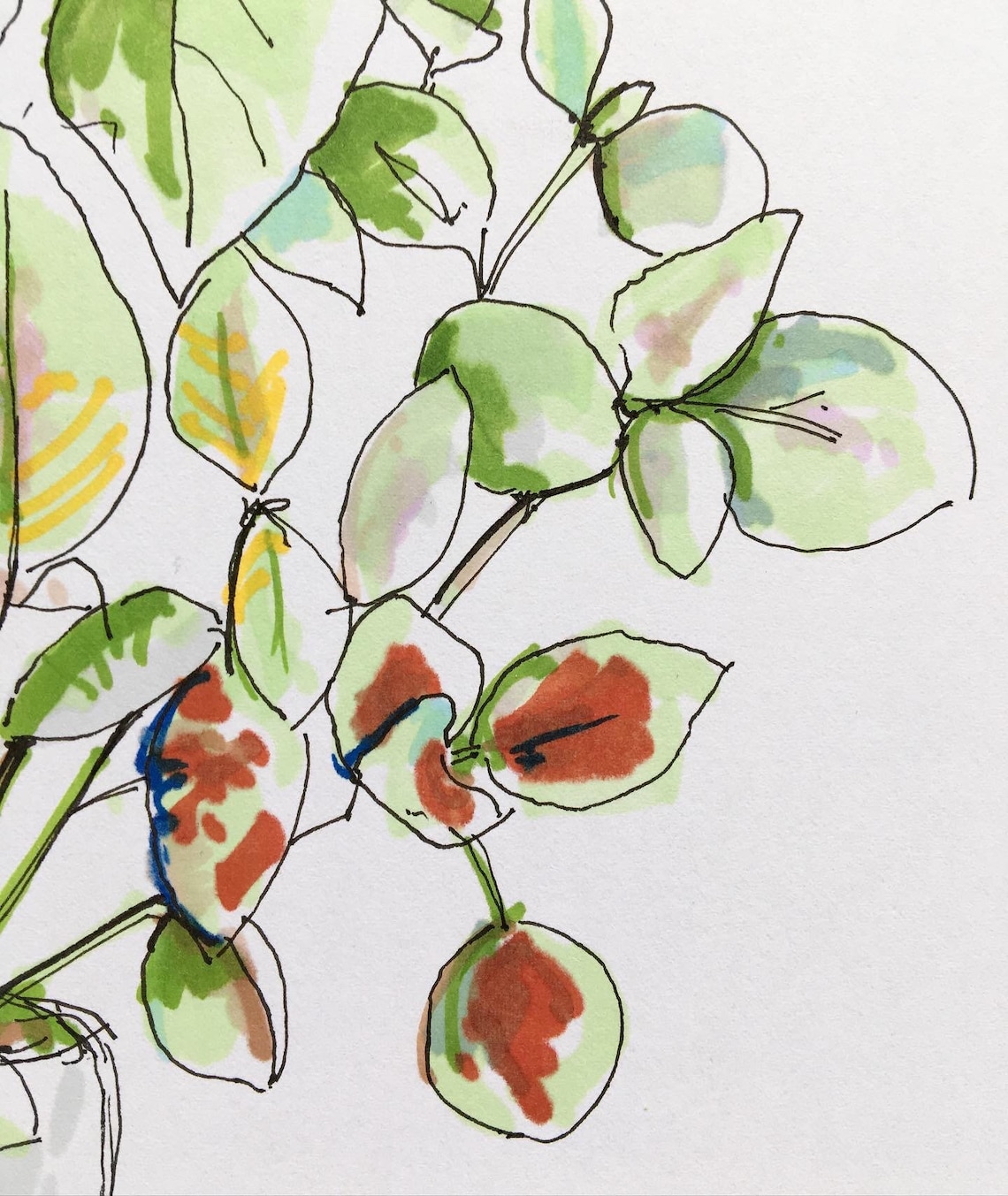 Green & Red Coleus Houseplant Original Drawing in Ink and - Etsy