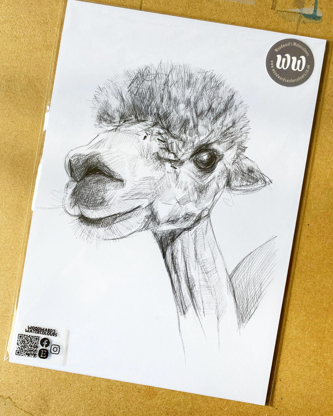 Alpaca Digital Print on A4 350gsm Paper - Etsy