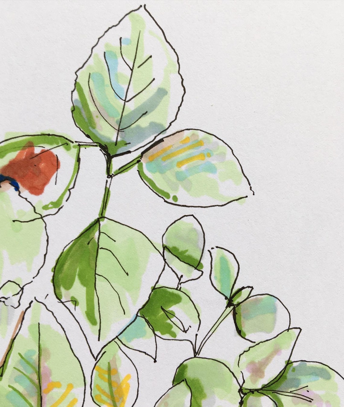 Green & Red Coleus Houseplant Original Drawing in Ink and Promarker on ...