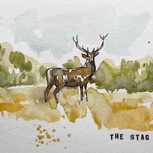 The Stag in Ink and Watercolour on A4 350gsm Watercolour Paper - Etsy