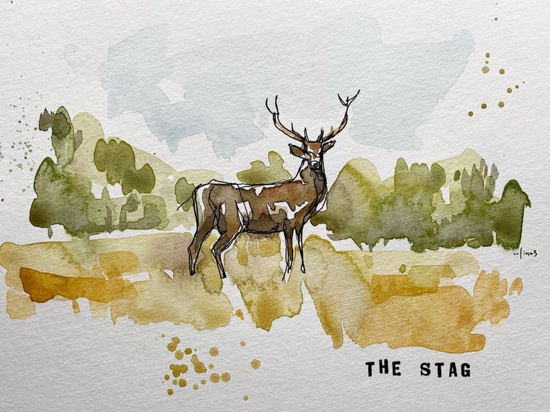 The Stag in Ink and Watercolour on A4 350gsm Watercolour Paper - Etsy